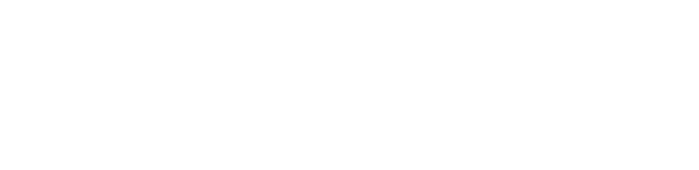 Premier Pontoons - Town & Country Marine